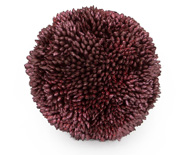 Floral Berry Ball – Tippy Canoe