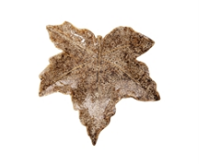 Brown Maple Leaf Plate – Tippy Canoe
