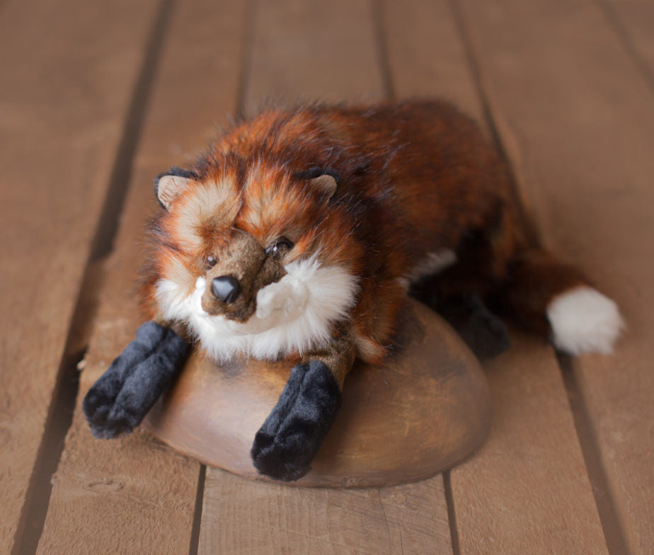 Ditz Fox – Tippy Canoe